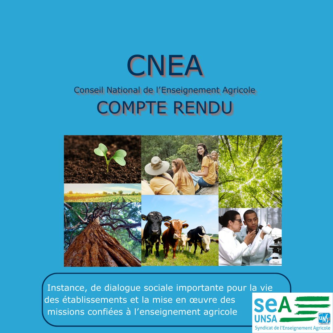 Points de rentrée 2024 – 2025 en CNEA (9/10/2024) – SEA-UNSA