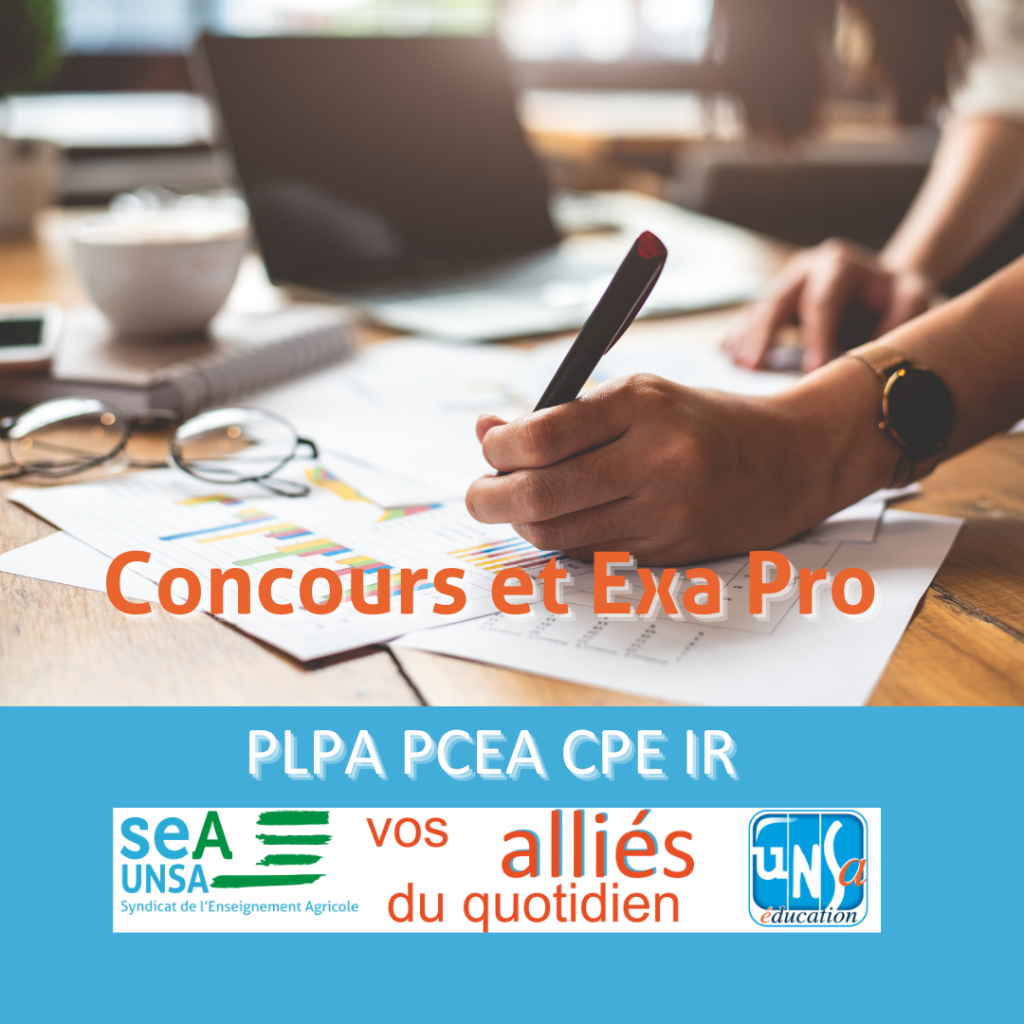 Ouvertures de concours PCEA – PLPA – CPE et Examens pro IR HC – SEA-UNSA
