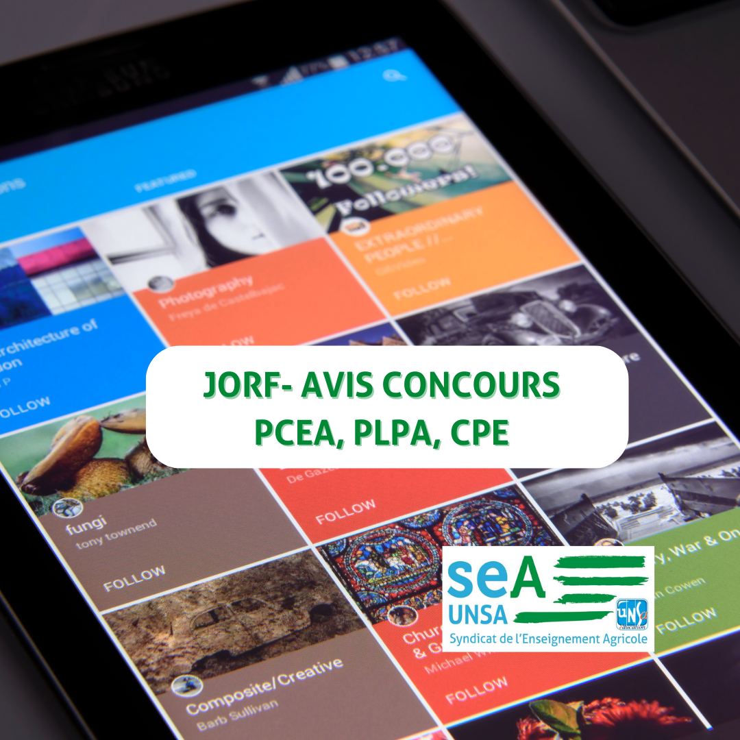 JORF – AVIS CONCOURS INTERNES – EXTERNES – PCEA -PLPA -CPE – SEA-UNSA