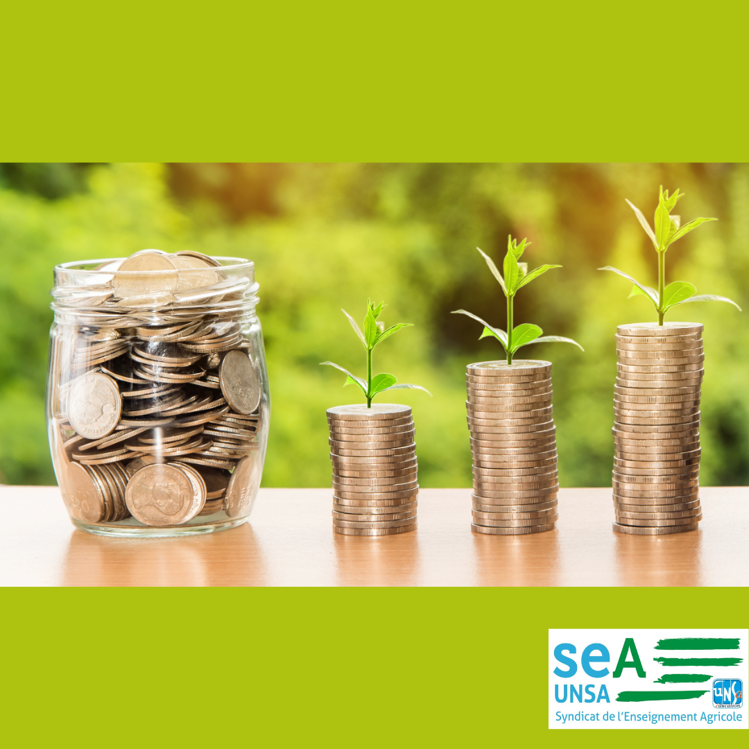 Calendrier des payes et des pensions 2025 – SEA-UNSA